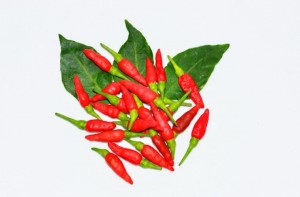 Know your pika! ⋆ Echt ALLES over de verschillende hete pepers